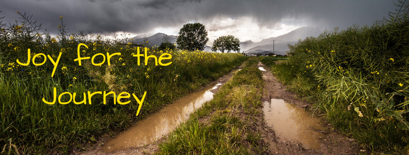 Joy for the Journey | PEP UP for Joy
